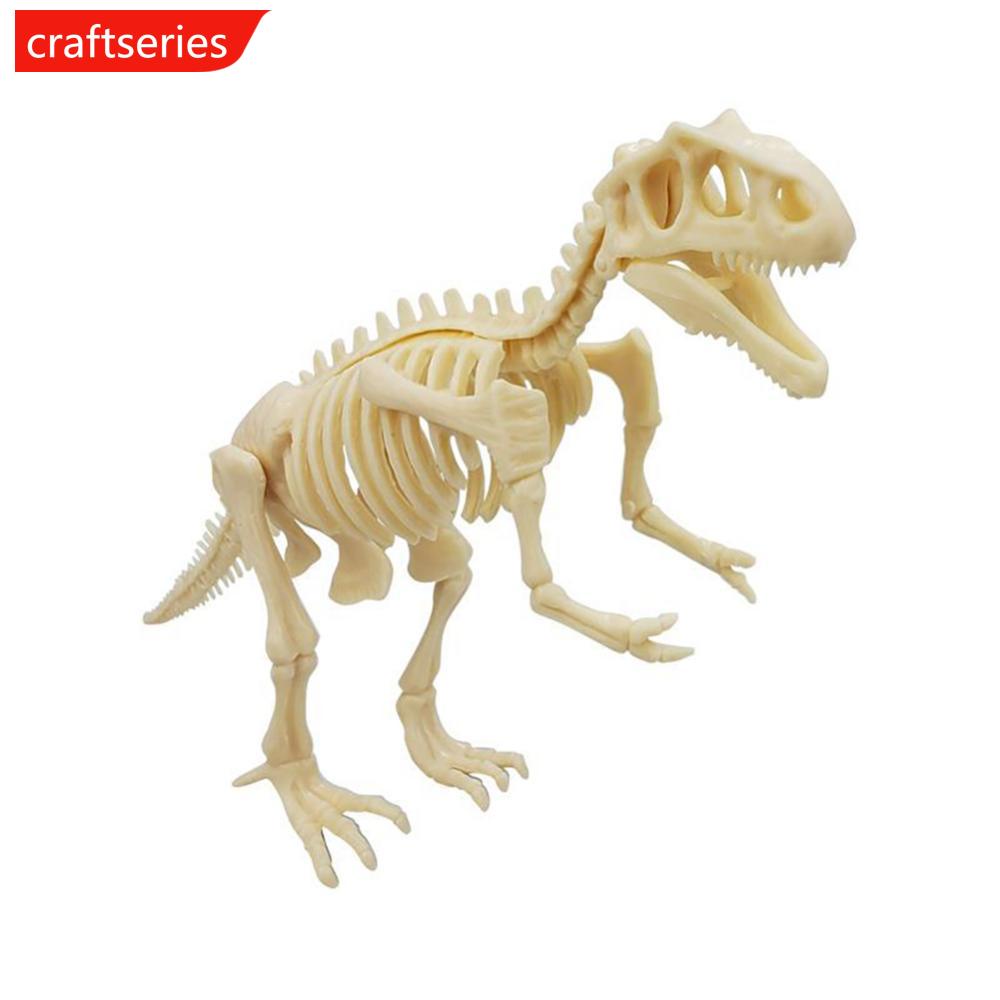 CRAFTSERIES Simulation Dinosaur Fossil Plastic Skeleton Model Children ...