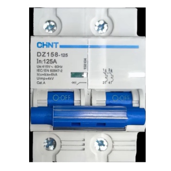 CHINT 125A 2Pole Miniature Circuit Breaker 10 KAIC 220V DIN Rail Type ...