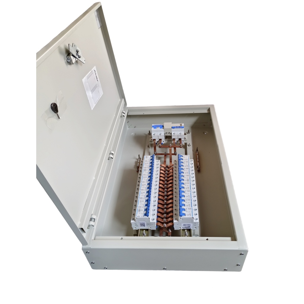 Royu Mts Main Miniature 16 Branches 2 Pole Chint 80a 2p Main With 16