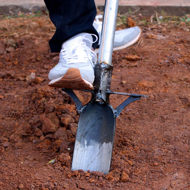 Luoyang Shovel Small Shovel Agricultural Tree-Digging Shovel Tree ...