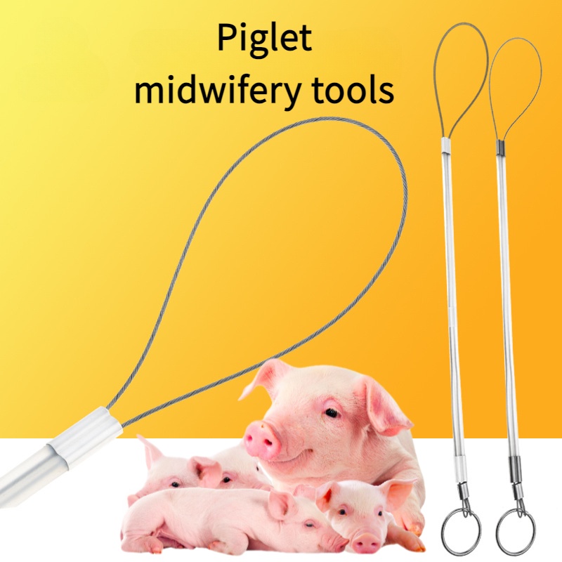 Obstetric Snare For obstetric use Assist safer delivery of piglet,Pig ...