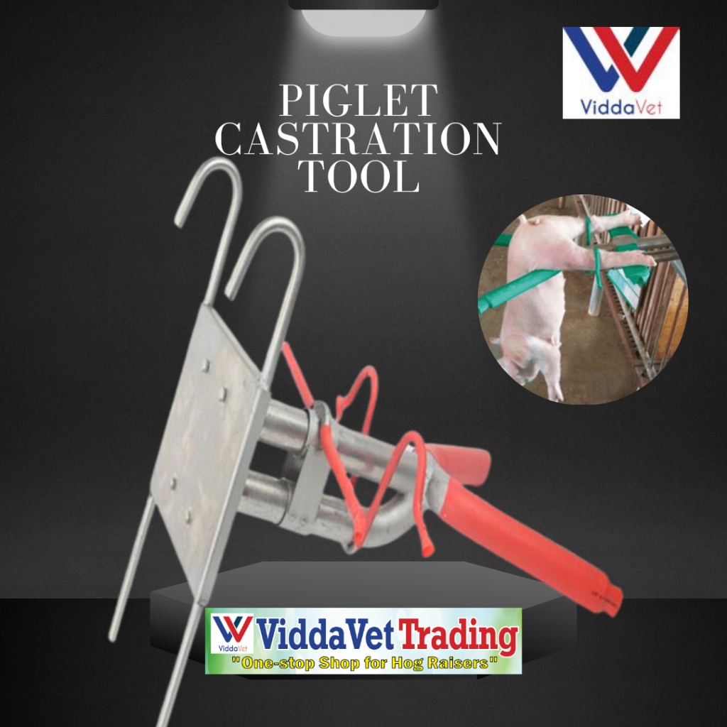 1 Set Stainless steel piglet castration frame castration tools for pig ...