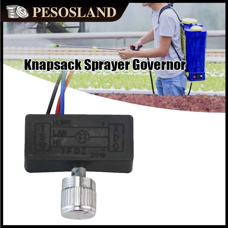 12V Electric Sprayer Governor Adjustable Pressure Power Switch For ...