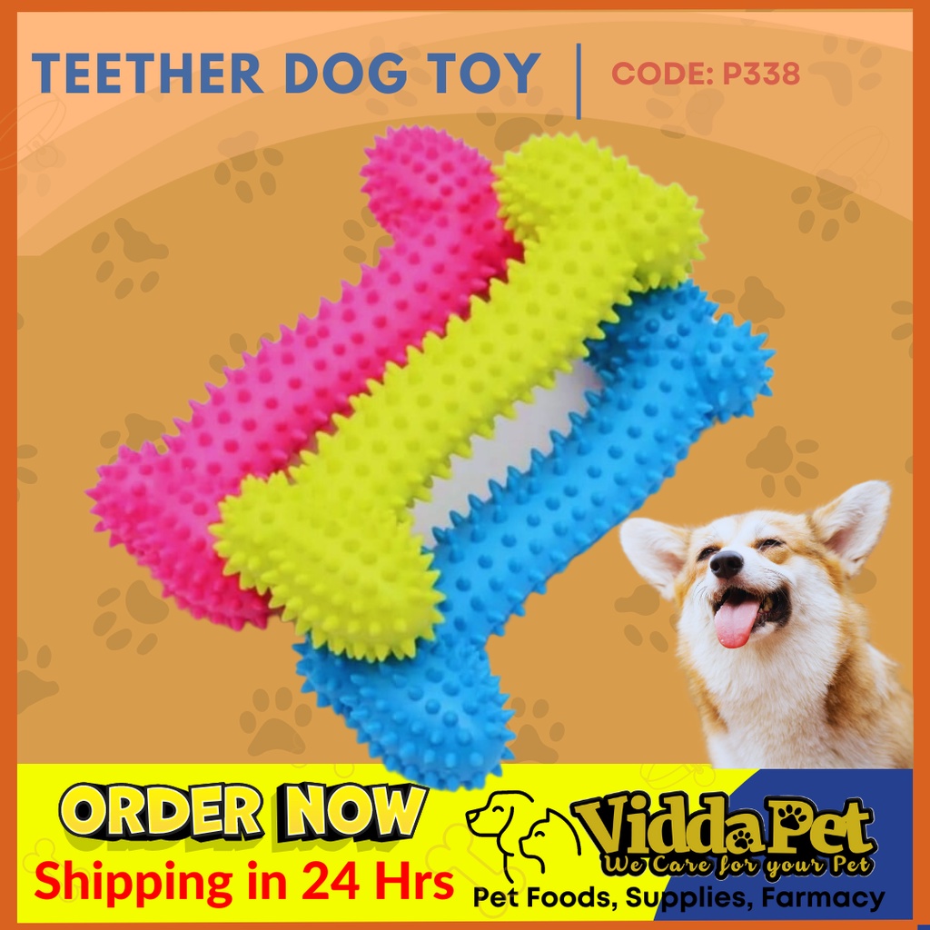 Bone Teether Toy for Pets animals dogs puppy furbaby blue pink green ...