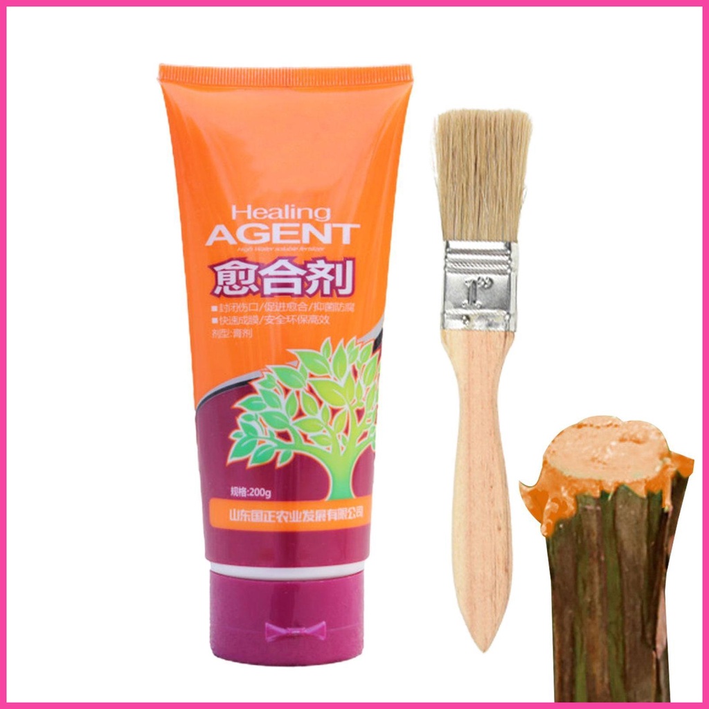 Tree Wound Repair Tree Wound Bonsai Cut Paste Smear Agent 200g Bonsai ... Tree Wound Repair Tree Wound Bonsai Cut Paste Smear Agent 200g Bonsai ...