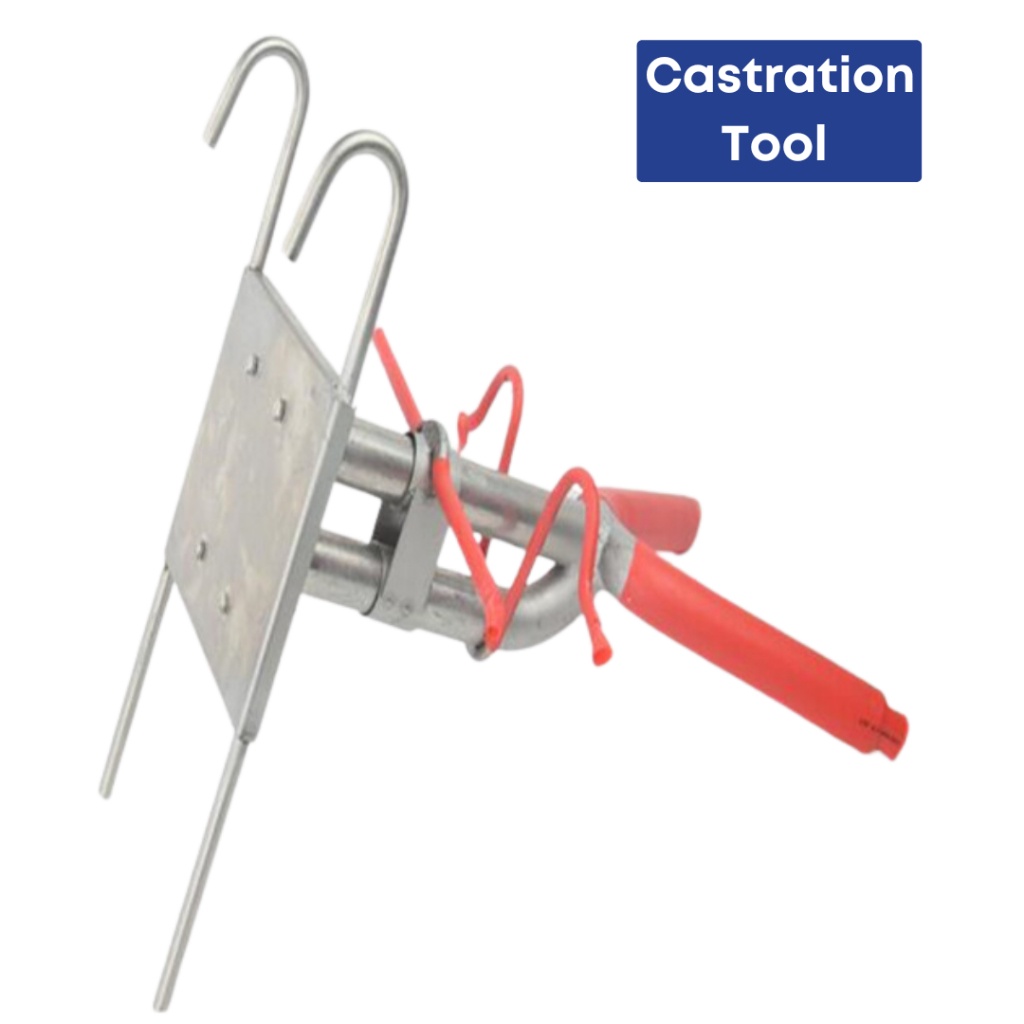 Castration tool castration holder for piglets castration tool for ...