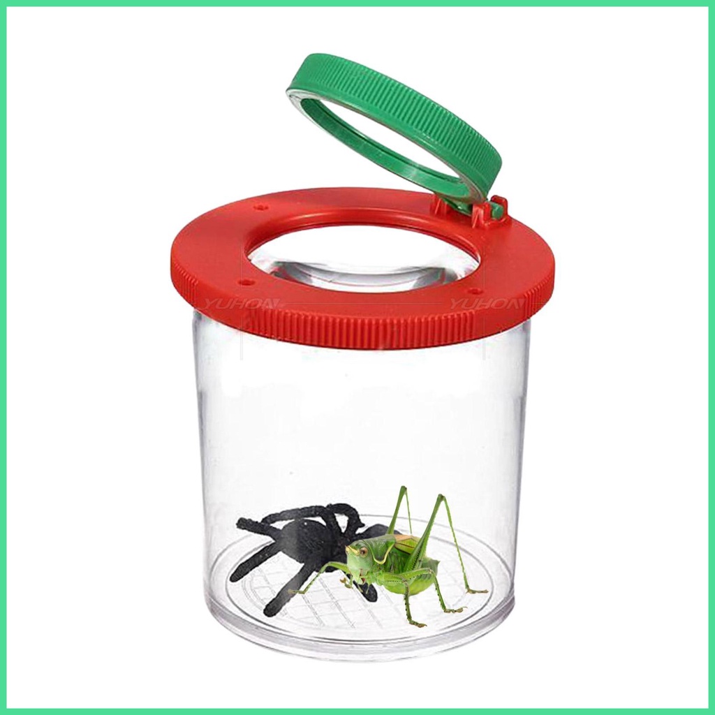 Insect Observation Container Insect Observation Box With Magnifier ...