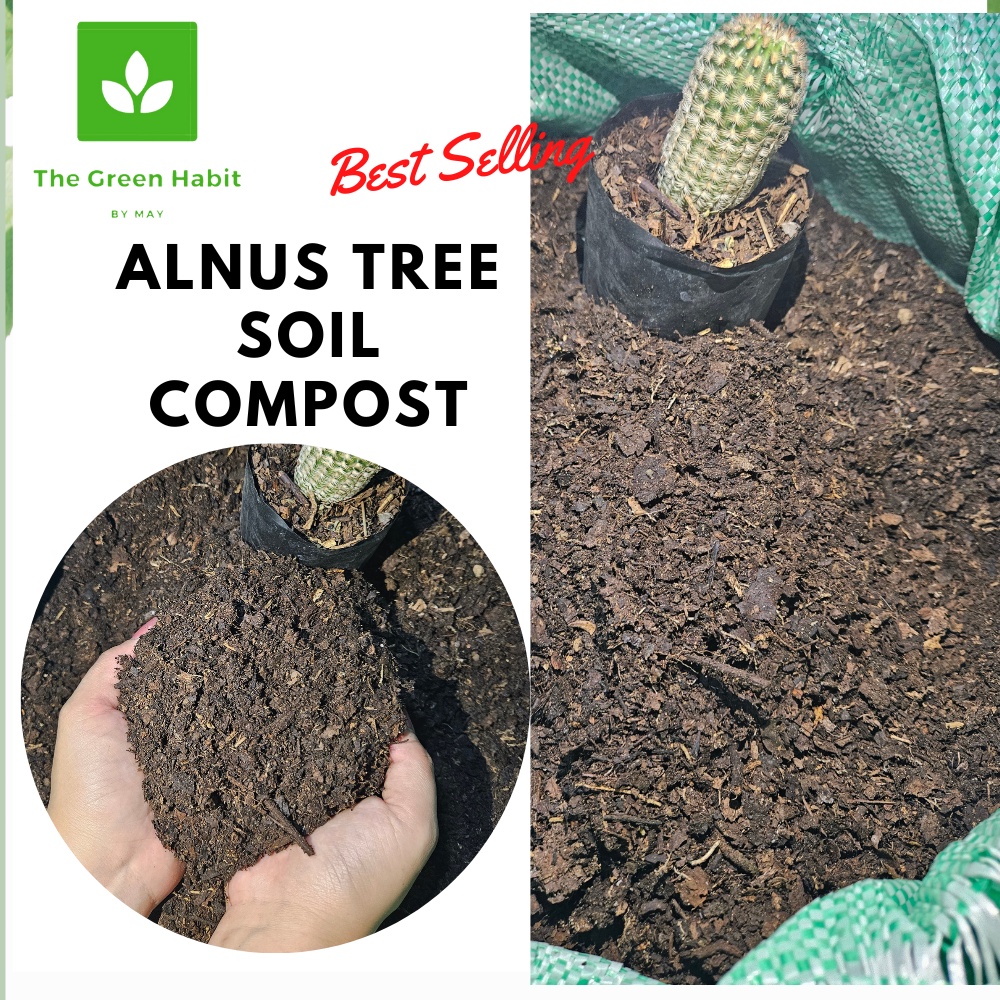 TGH Pure Dried Alnus Tree Compost Best for Soil Mix for Cactus and ...