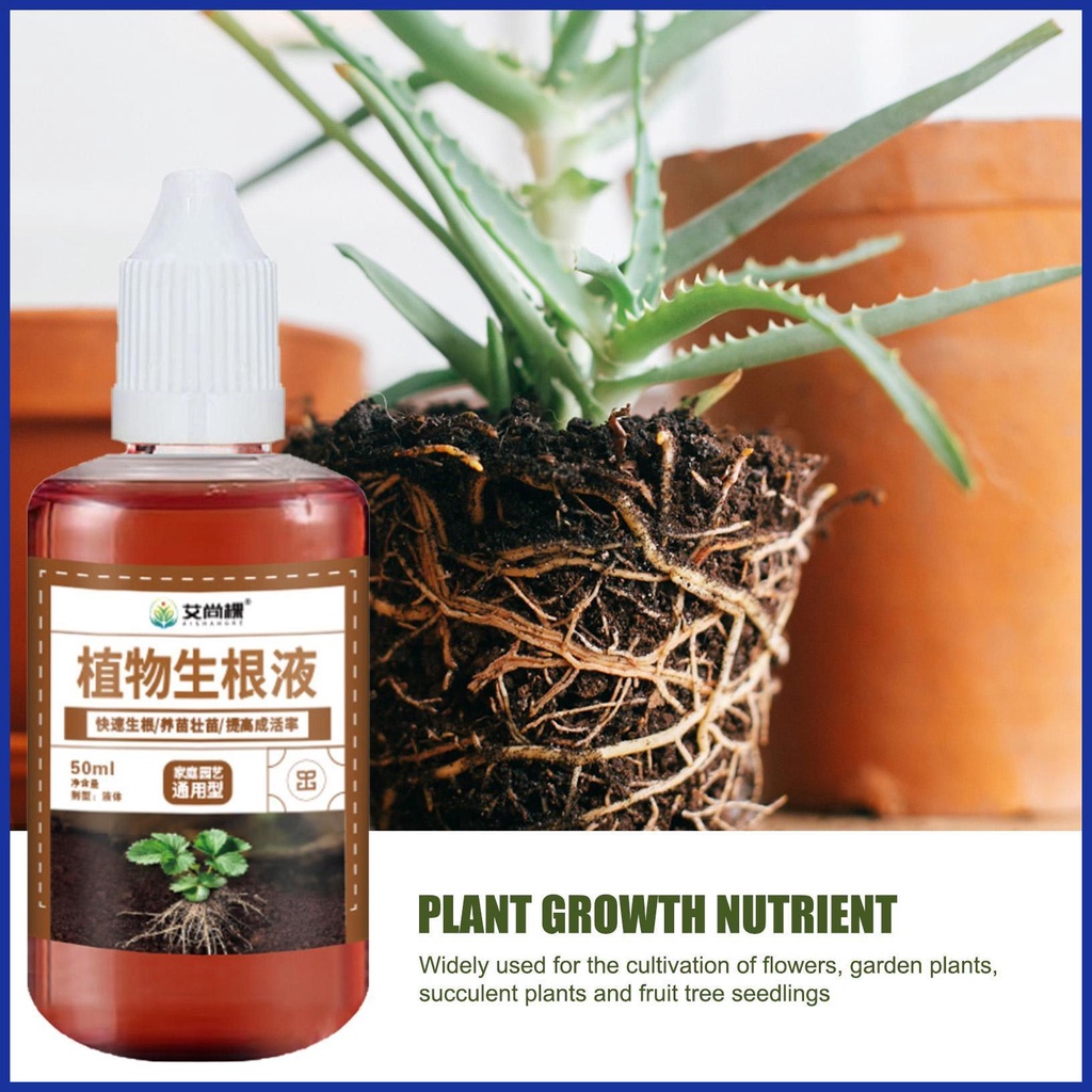 Rooting Powder Roots Growth Enhancer Organic Rooting Hormones for ...