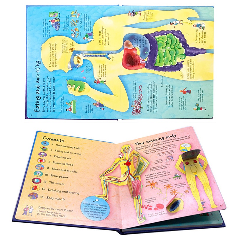 Usborne See Inside Your Body 3D Flap Picture Books for Kids Children ...