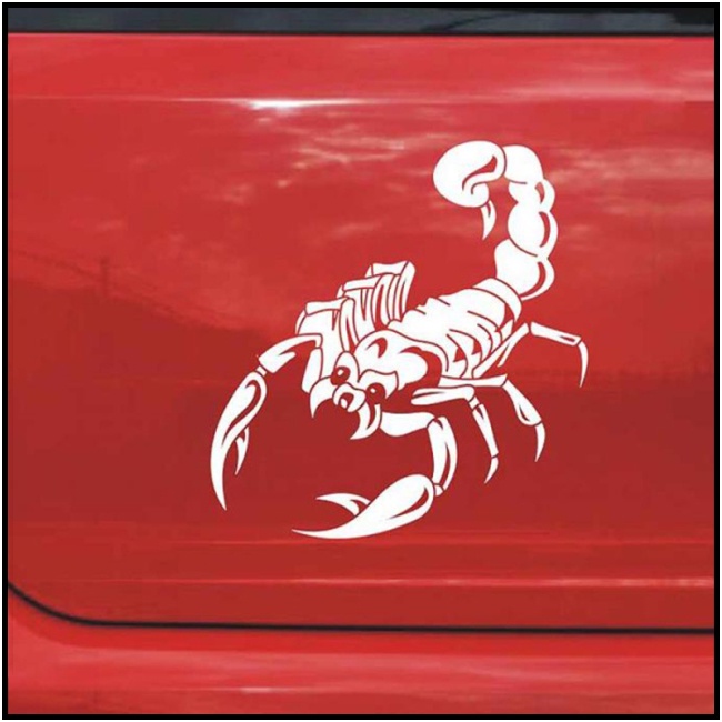 CI Scorpion Totem Decals Car Stickers Car Styling Vinyl Decal Sticker ...