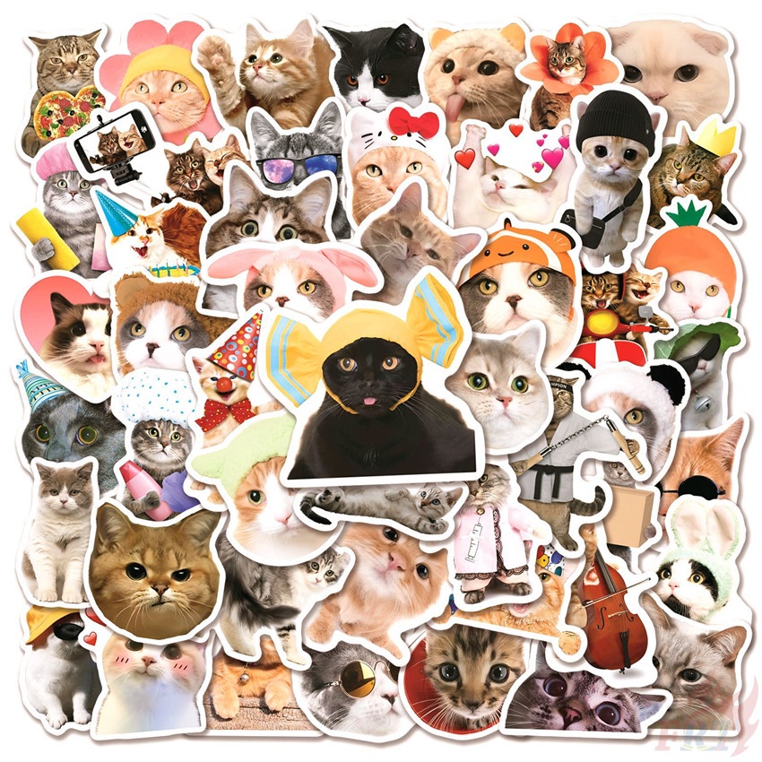 Funny Cats Cosplay Series 03 Stickers 50Pcs/Set DIY Fashion Waterproof ...
