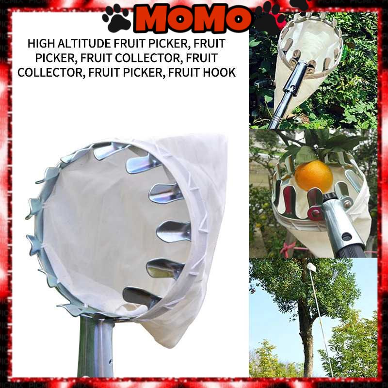 Fruit Picker Tool Fruit Picking Tool Mango Fruit Picking Stick Fruit ...