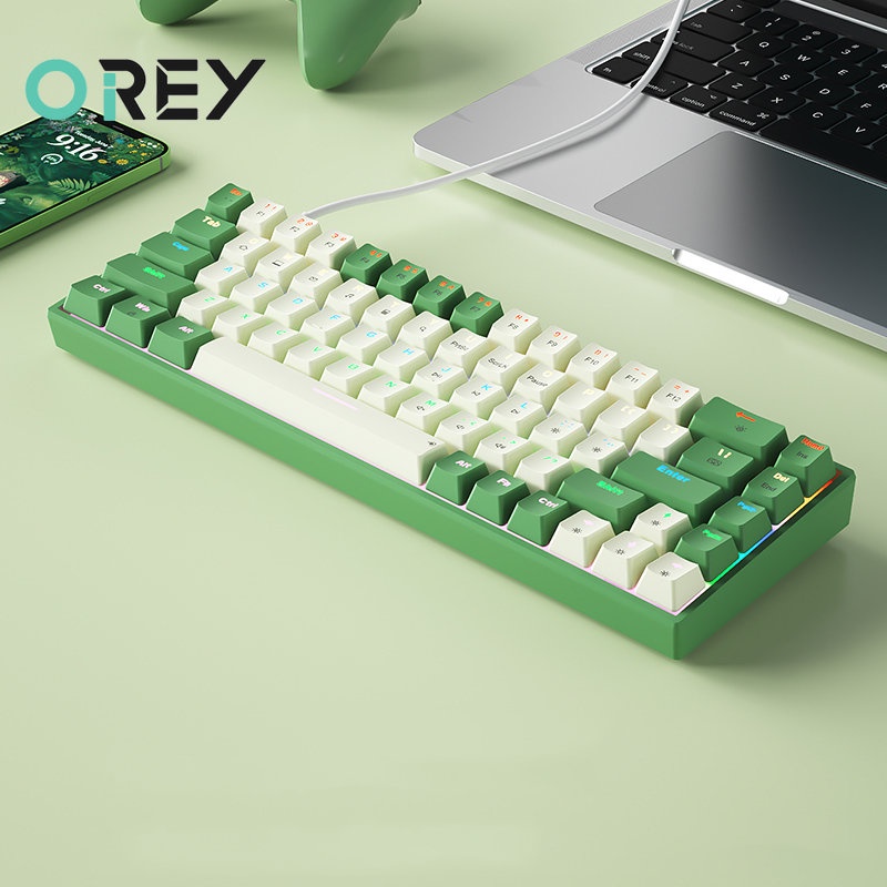 Wired Mechanical Keyboard Ergonomics 68 Keys RGB Hotswap Type-C Gaming ...