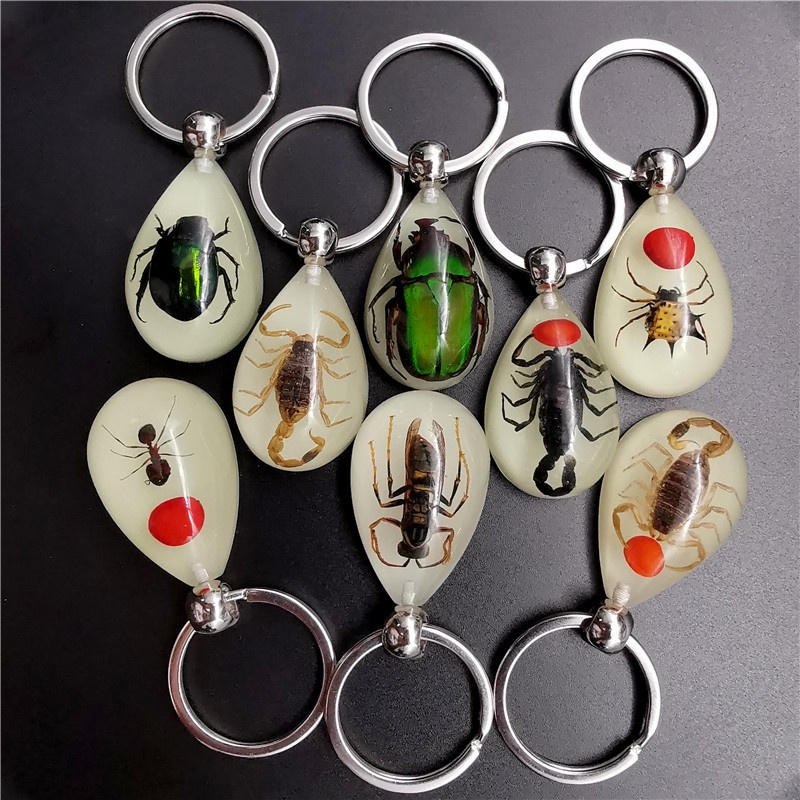 Luminous Amber Insect Keychain Pendant Real Insect Resin Specimen ...