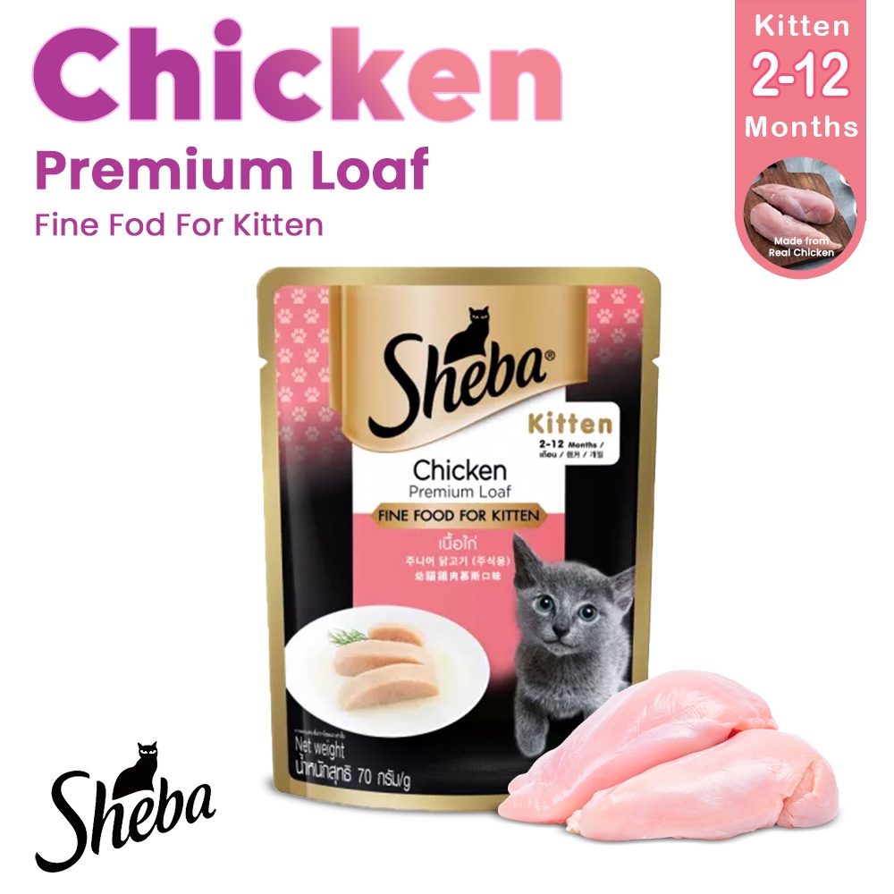 YOUNG Sheba Kitten Chicken Premium Loaf Wet Cat Food 70g | Shopee ...