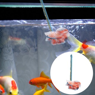 Woodrx Betta Stick Realistic Artificial Vivid Shape Non-fading Aquarium ...