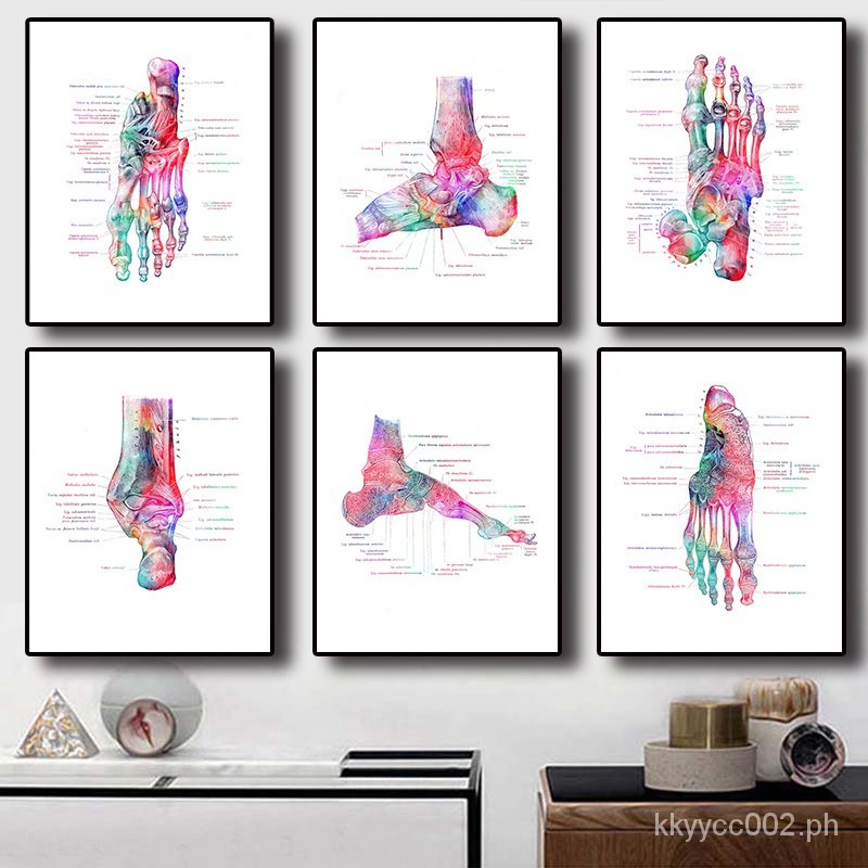 Foot Bones Anatomy Art Medical Poster Orthopedist Gift Podiatrist Gift ...