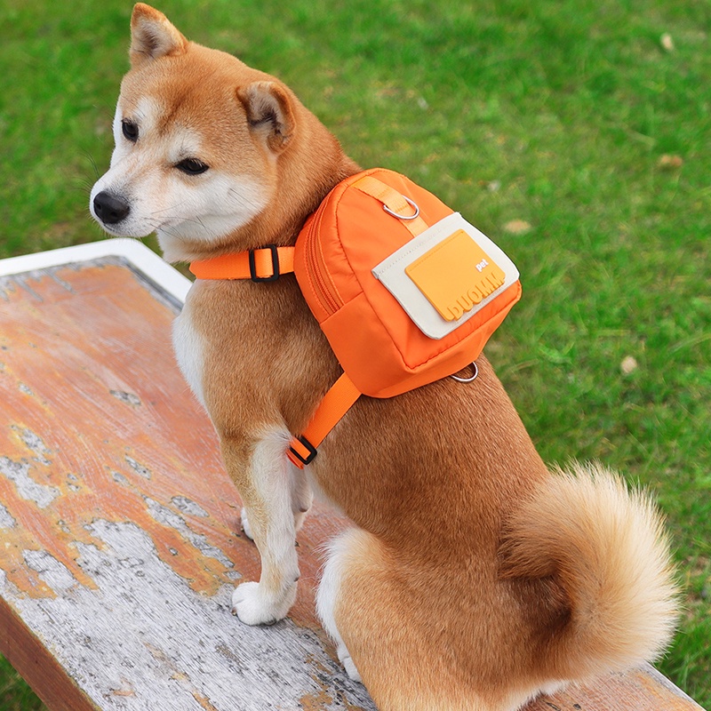 Dog School Bag Pet Self-Backpack Snack Self Backpack Outdoor Travel ...