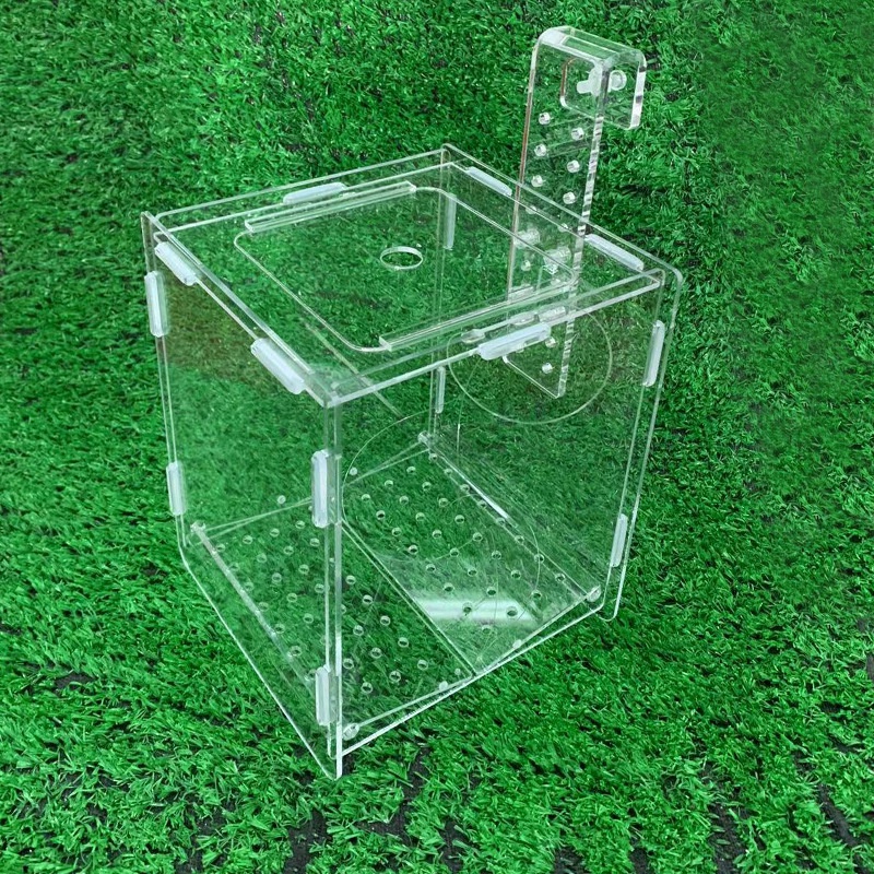hang type acrylic fish trap for aquarium quarantine box fish tangkap ...