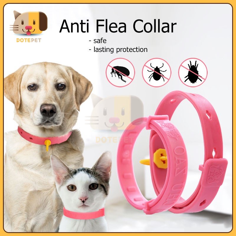 Dog Collar Anti Flea Mite Tick Puppy Dog Pet Collar Anti Insect Flea ...