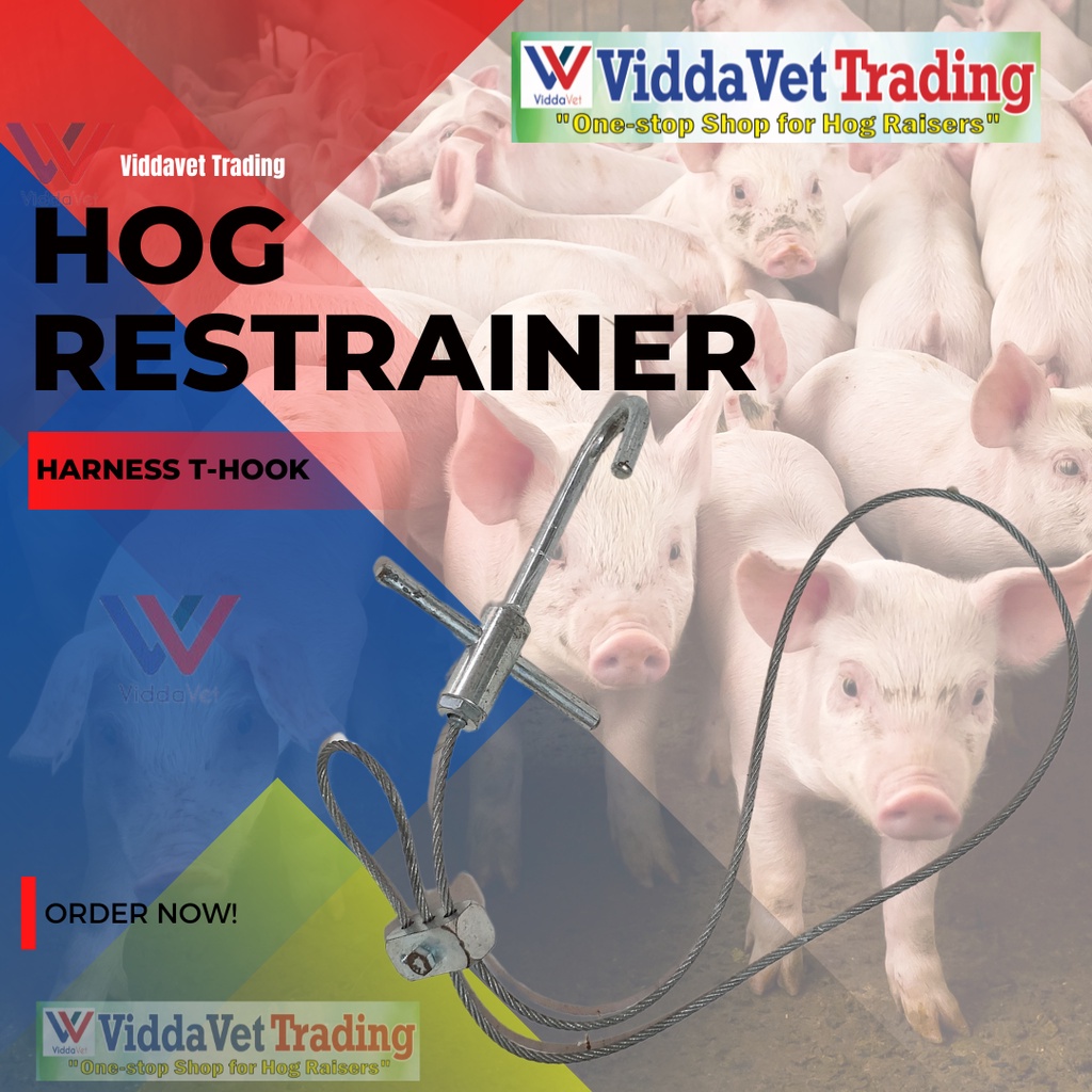 T-Hook/F Shape Pig Restrainer Hog Catcher for farm animals husbandry Imported stainless hog ...