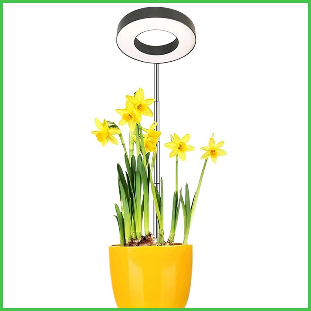 Grow Light LED Small Potting Light Height Adjustable Growing Lamp with ...