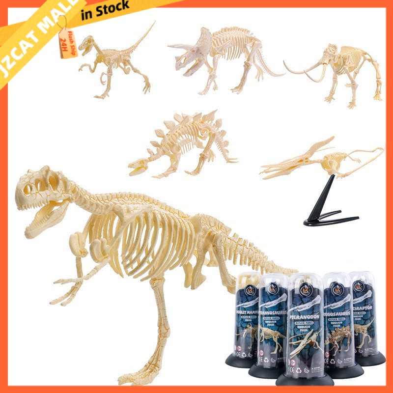 Assembled Dinosaur Skeleton 4D Plastic Model Toy Bucket Dinosaur Fossil ...