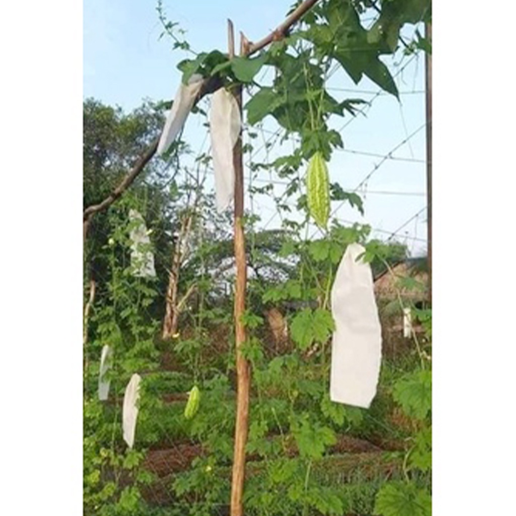 Set of 50 bags of avocado, luffa, bitter melon, cucumber in non-woven ...