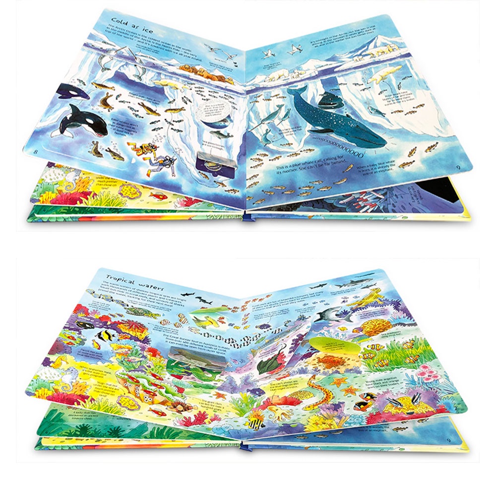 Usborne See Under The Sea Montessori 3D Flap English Picture Book for ...