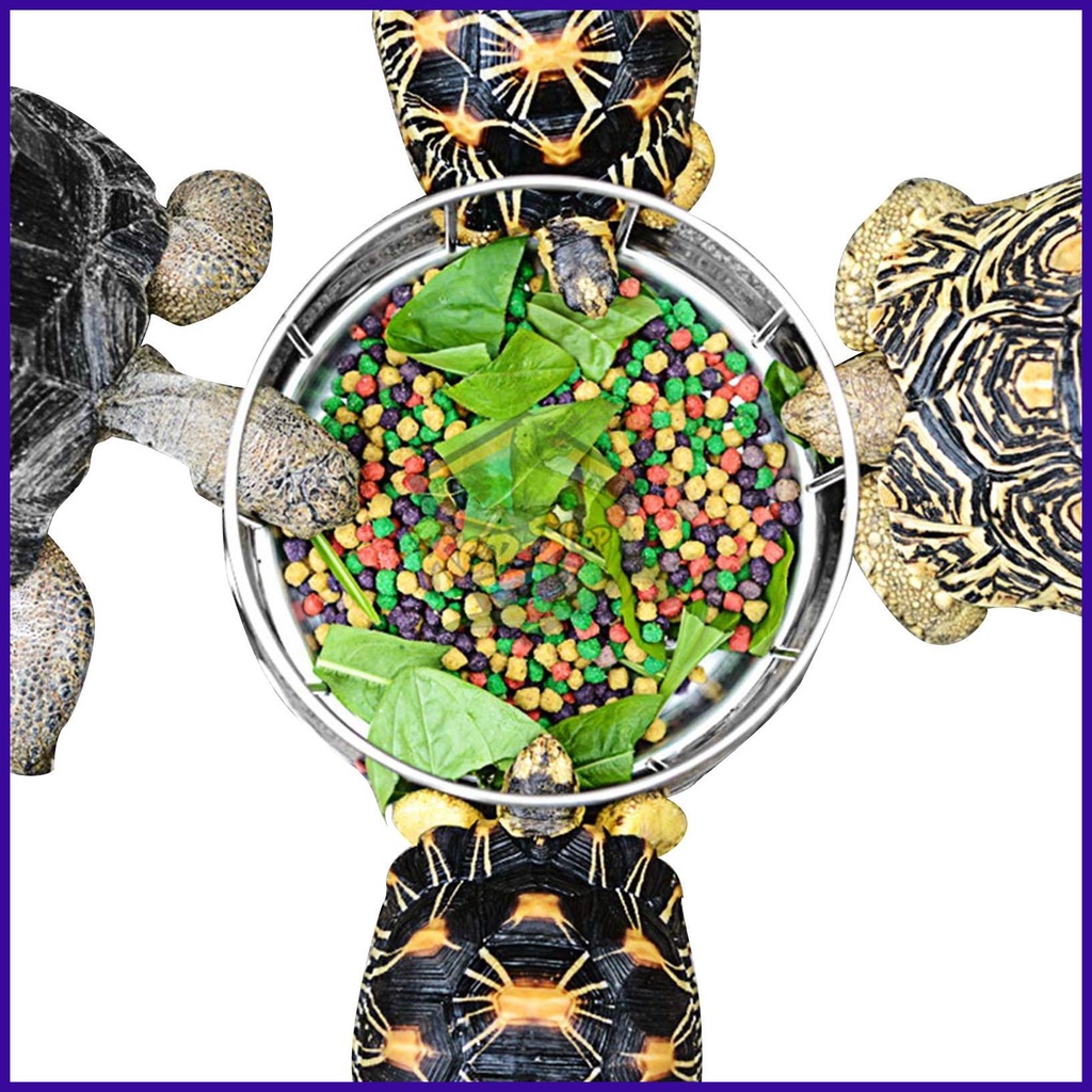 Stainless Steel Turtle Feeder Turtle Food Feeding Bowl Round Hollow ...