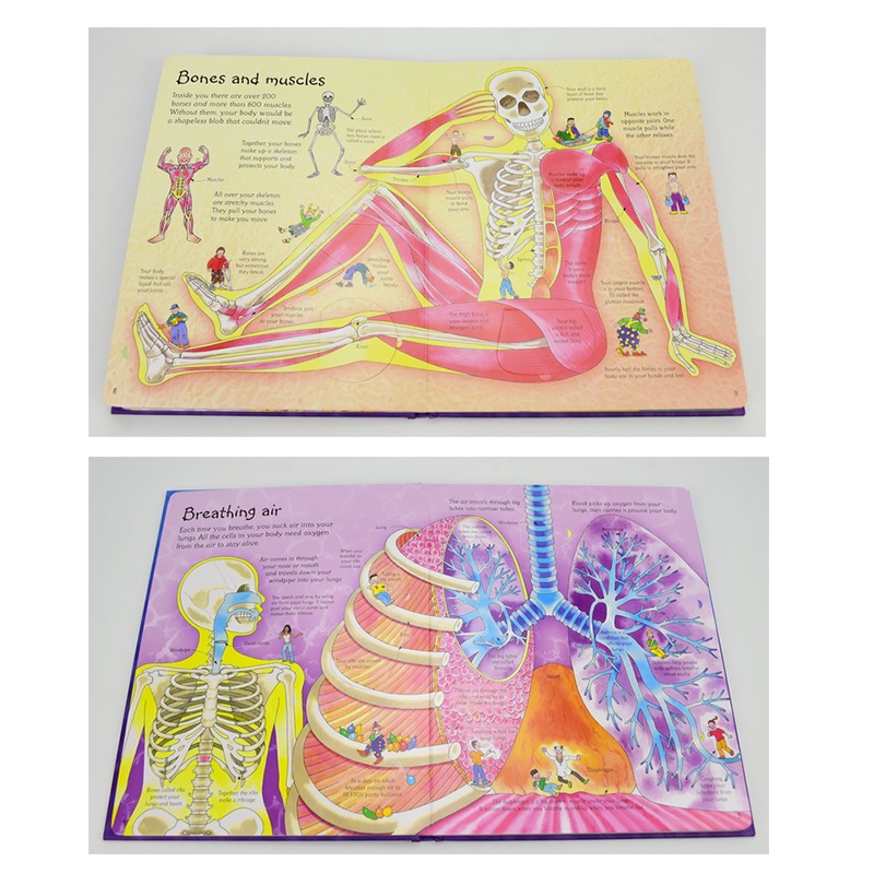 Usborne See Inside Your Body 3D Flap Picture Books for Kids Children ...