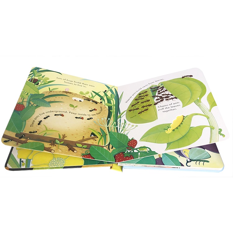 Usborne Peep Inside Bug Homes Insect Science Popularization Natural ...