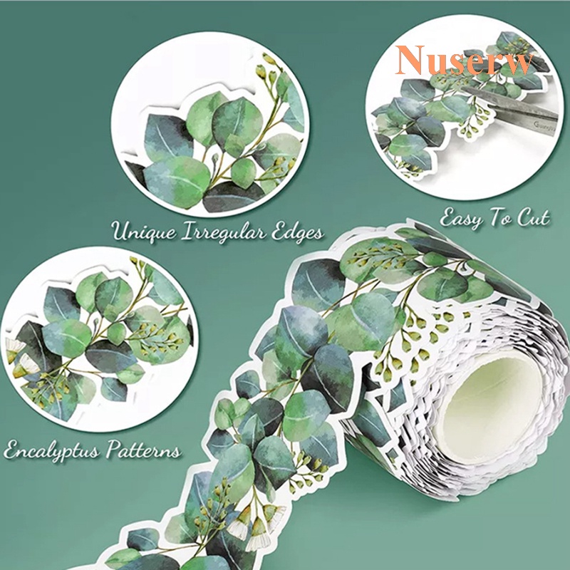 Nuserw 1Roll Eucalyptus Border Bulletin Board Stickers for Classroom ...