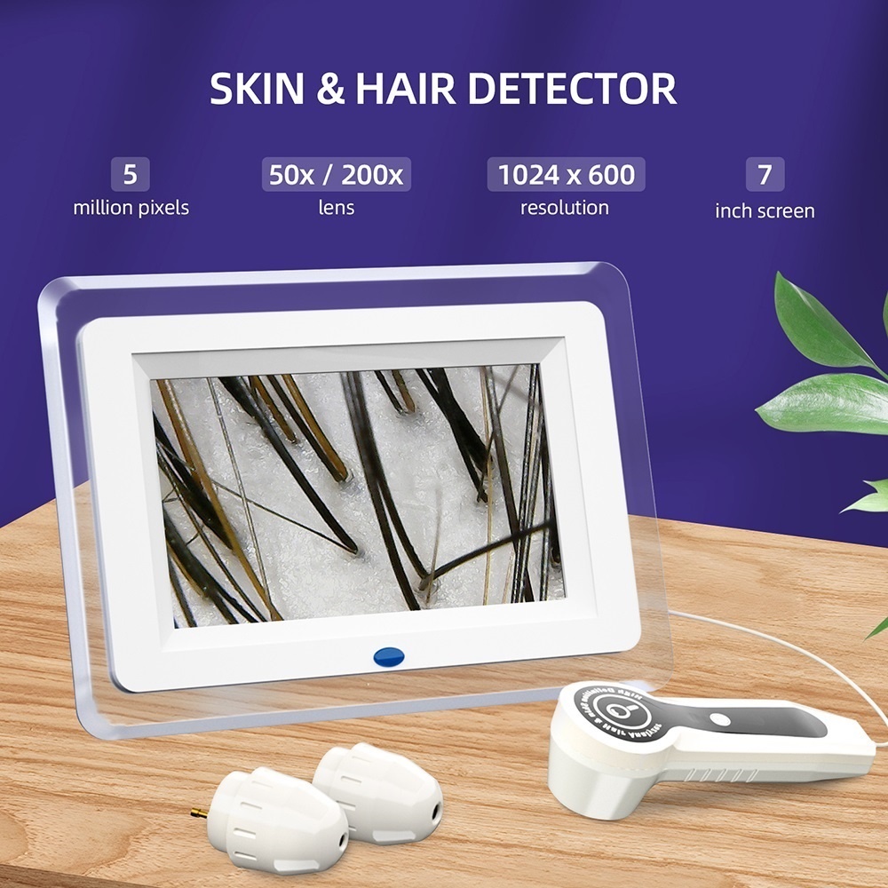 Multifunctional 7 Inch Rechargeable Scalp Hair Follicle Oil Moisture ...