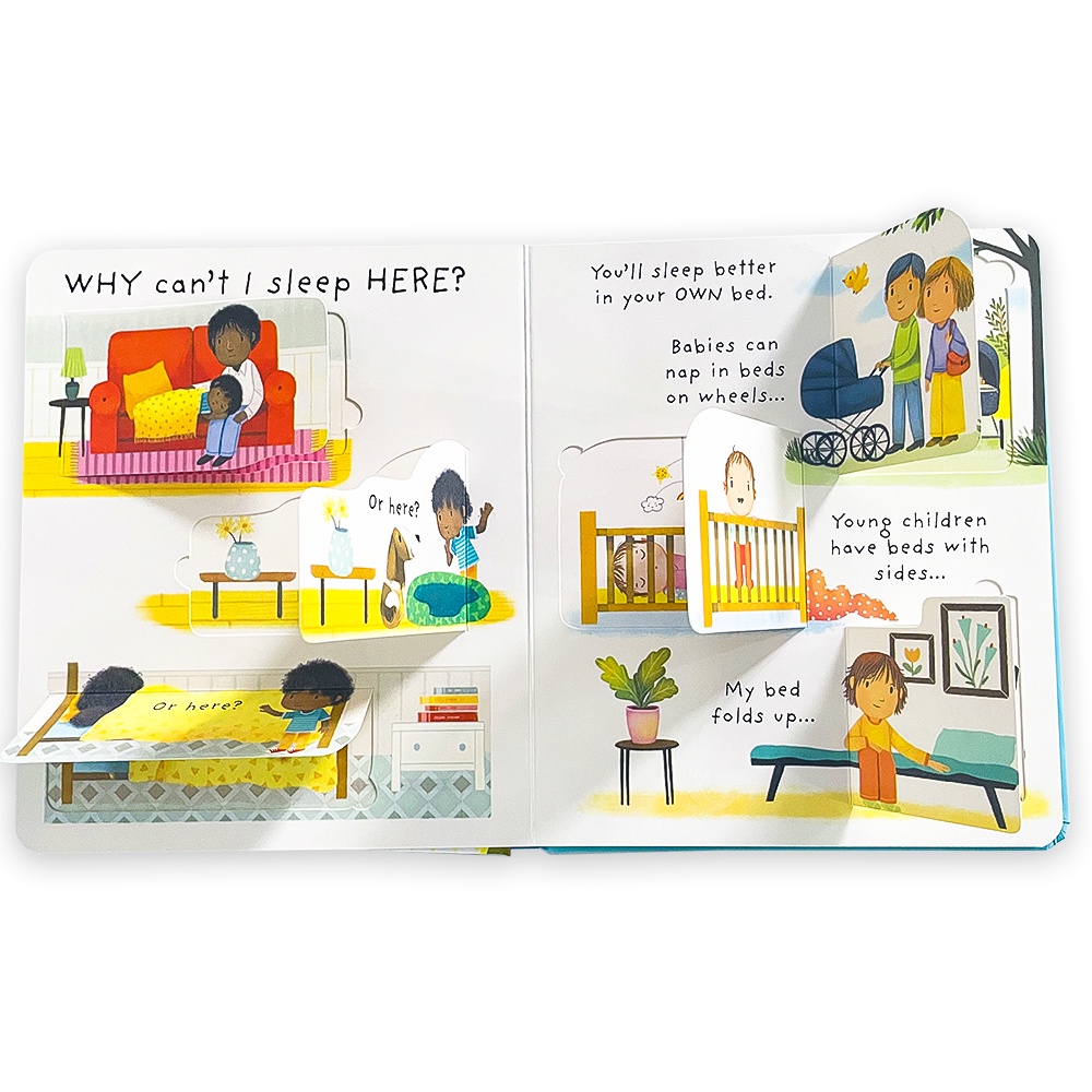 Usborne Lift-the-Flap Very First Questions and Answers Why Do I Have To ...
