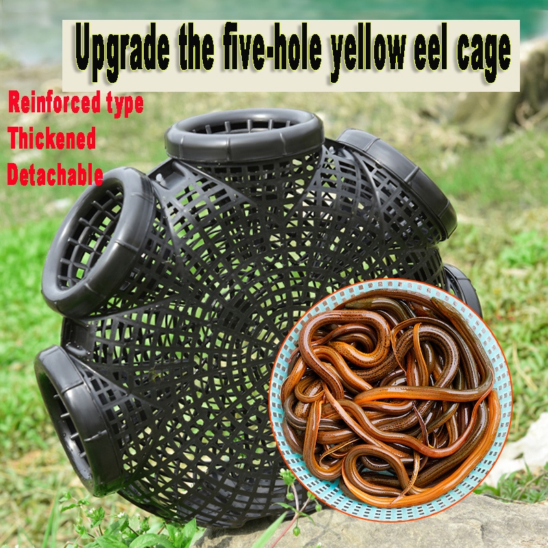5 Holes Eel Cage Loach lobster Trap Lobster One Nest with 5M Rope ...