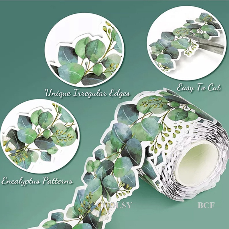 COOLSY Eucalyptus Border Bulletin Board Bulletin Board Border For ...