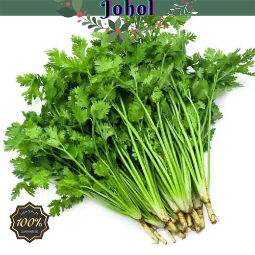 20PCS Wansoy/Coriander Vegetable Seeds Tropical Plant High Germination ...