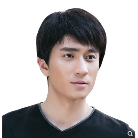 Wig Men Men Men Wig Set Refreshing Young Middle-Aged Wig Elderly Wig ...