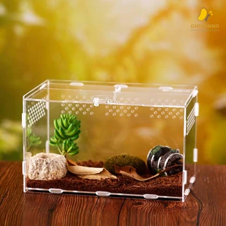 insect breeding box - Best Prices and Online Promos - Feb 2026 | Shopee ...
