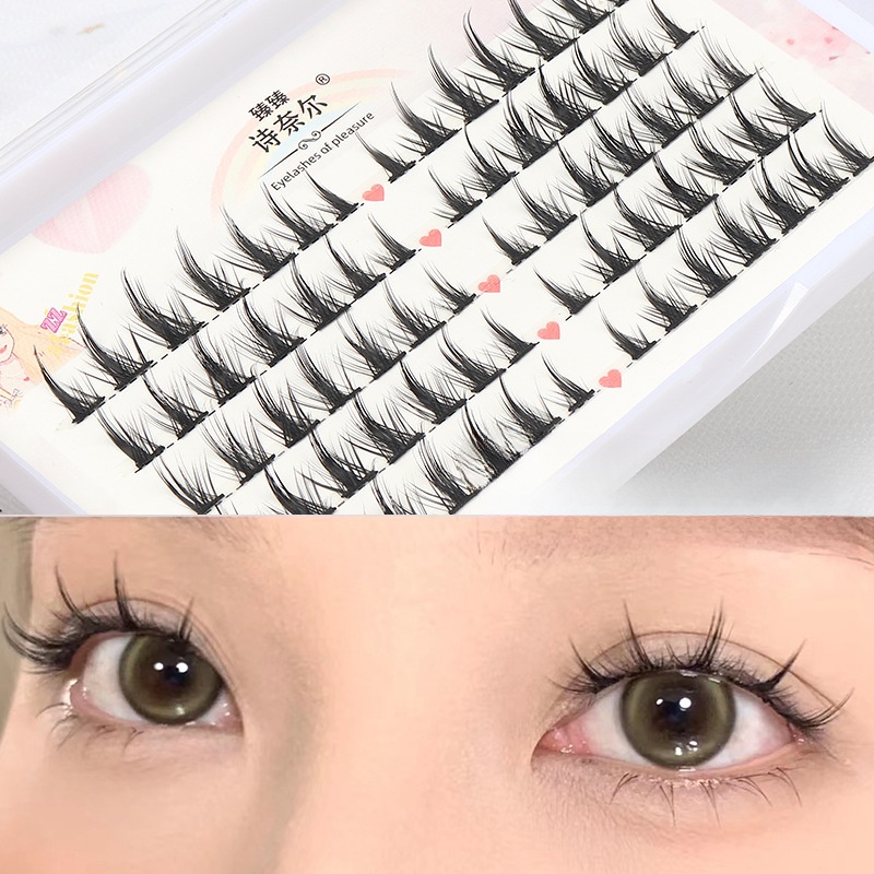 Segmented False Eyelashes, Thick, Light, Natural, Single Cluster ...