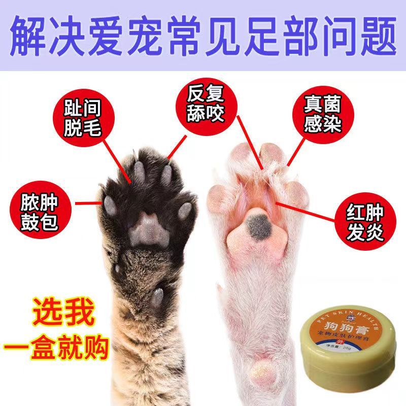 Dog Inflammation Pet Skin Fungus Infection Toe Inflammation Pain Red ...
