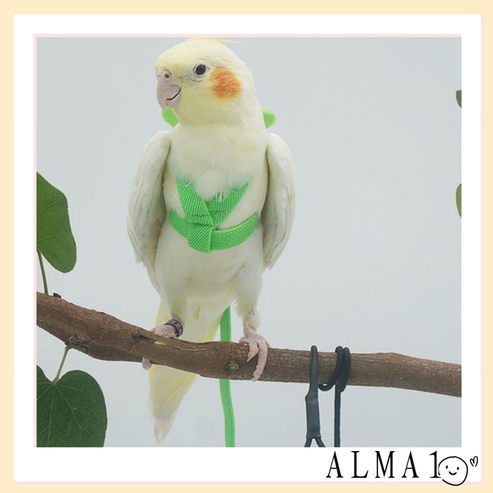 ALMA Bird Traction Belt Cockatiel Flight Training Rope Bite Bird Nylon ...