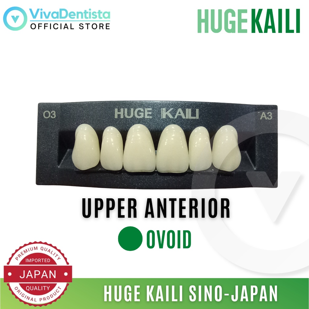 Huge Kaili Upper Anterior - Ovoid (Synthetic Polymer Teeth / Artificial ...