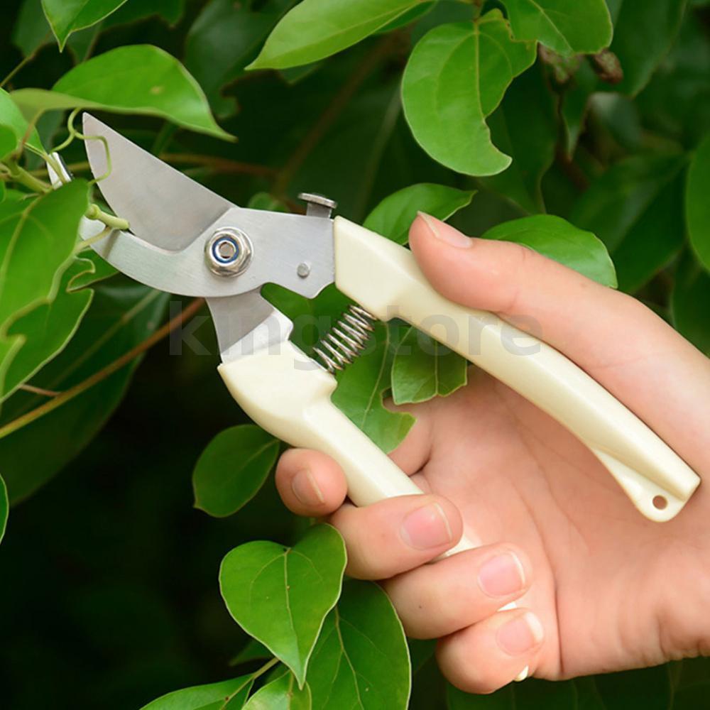 Garden Scissors for Plant Tip Pruning Shears for Cutting Flowers ...