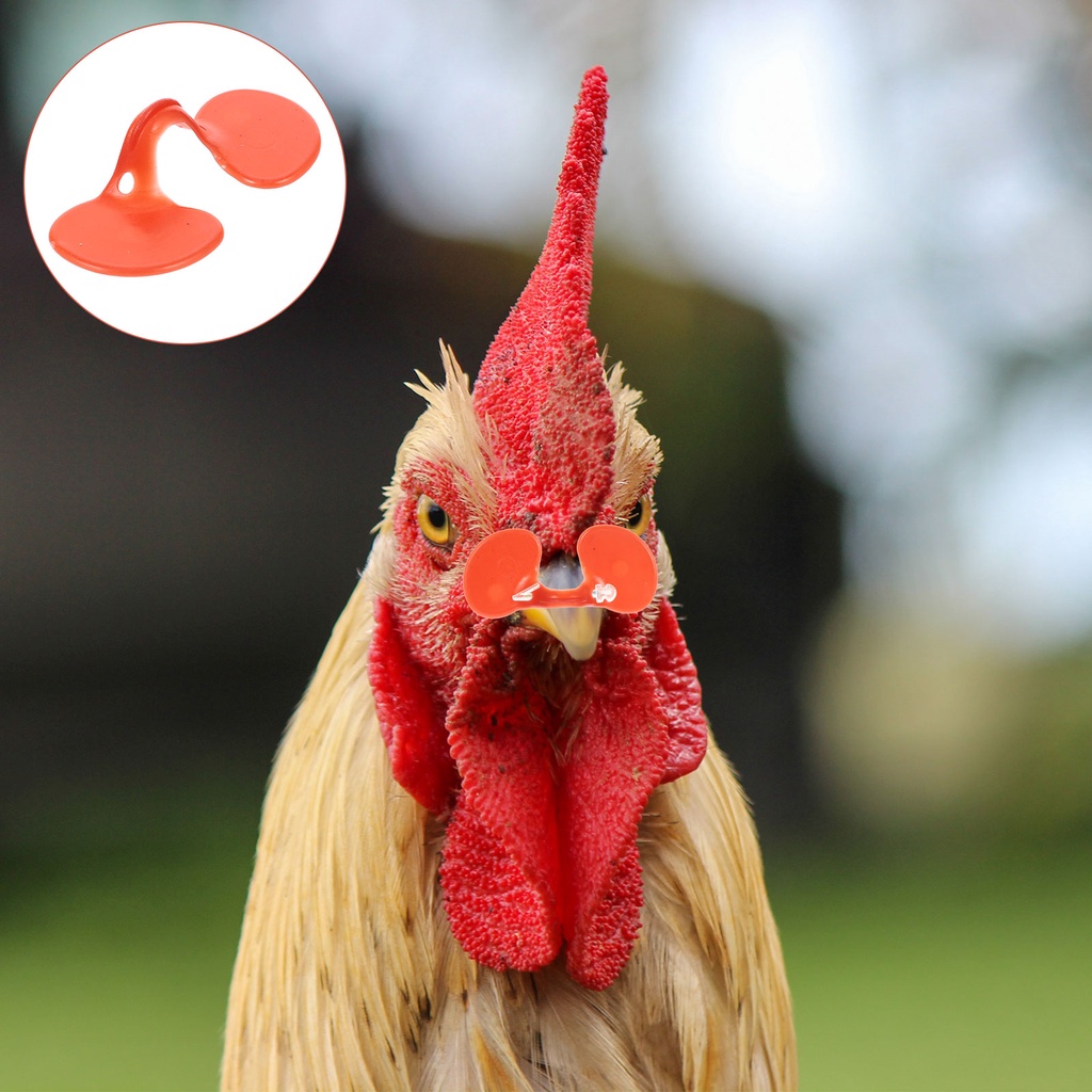 [READY STOCK] Chickens Red Glasses Goggles Peepers Tractor Fight ...