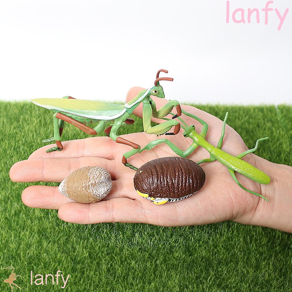 LANFYQI Snail Growth Cycle Kids Toys Plastic Kids Cognitive Biology ...