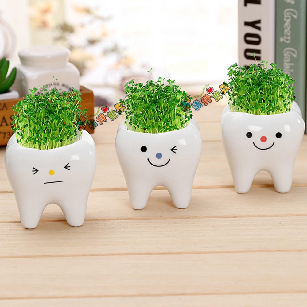 1Pc Bonsai Ceramic Flower Pot DIY Small Planter Succulent Plants Tooth ...
