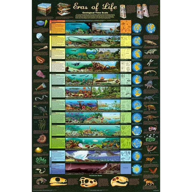 Eras of Life Geological Time Scale Educational Science Chart Poster X ...